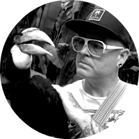 ‘So punk in drublic’; or, ‘Stepping in her footprints to erase your ...